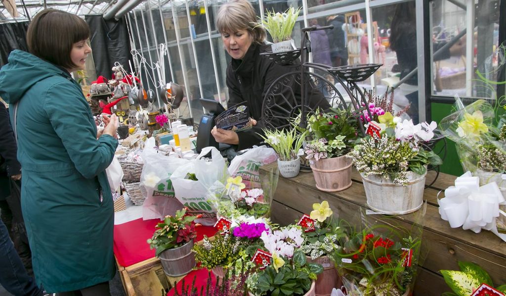 Visit Woodthorpe Park Plant Shop for festive fun & more – My Nottingham ...