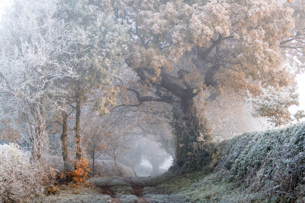 New photography exhibition to launch at Nottingham Central Library – My ...