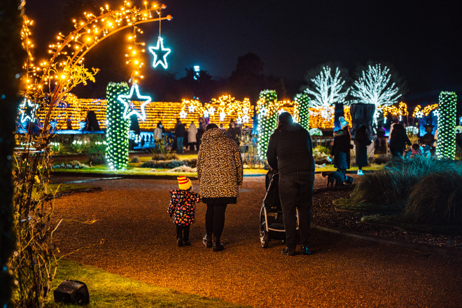 A brand-new Winter Light Trail comes to Wollaton Hall & Deer Park – My ...
